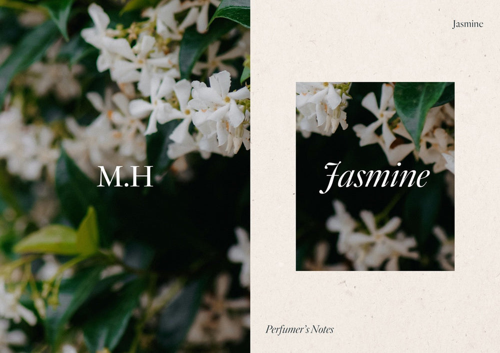 Perfumer's Notes - Jasmine – Miller Harris